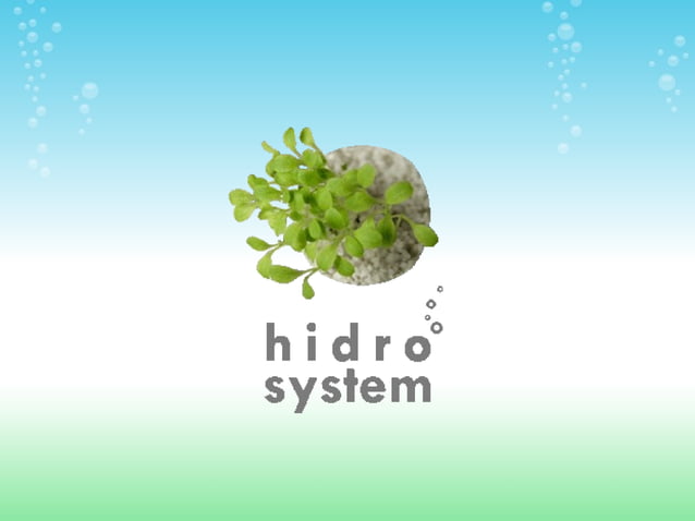 Hidro System | PPT