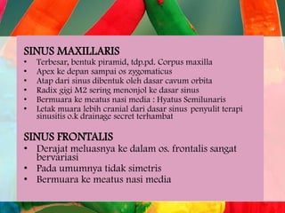 Fisiologi Hidung | PPTX