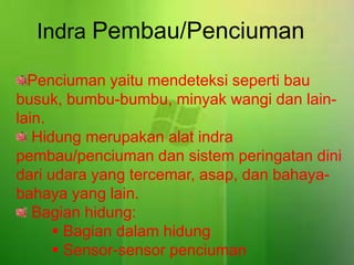 ppt ttg Hidung, Lidah & kelainannya-Biologi | PPTX