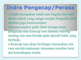 ppt ttg Hidung, Lidah & kelainannya-Biologi | PPT