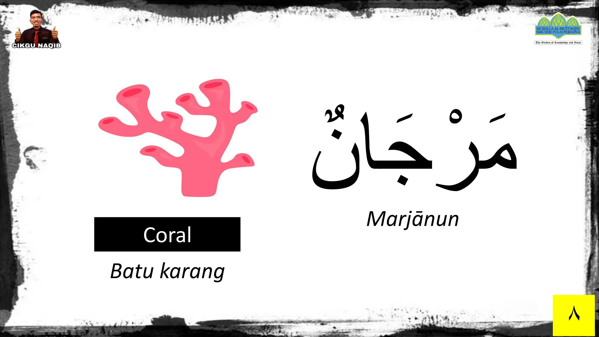 Hidupan Laut (حيوانات البحرية) - Marine Creatures (Bahasa Arab) | PDF