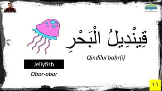 Hidupan Laut (حيوانات البحرية) - Marine Creatures (Bahasa Arab) | PPT