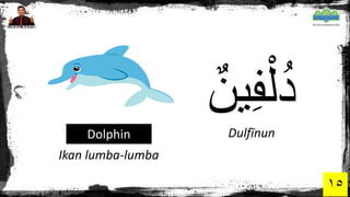 Hidupan Laut (حيوانات البحرية) - Marine Creatures (Bahasa Arab) | PPT