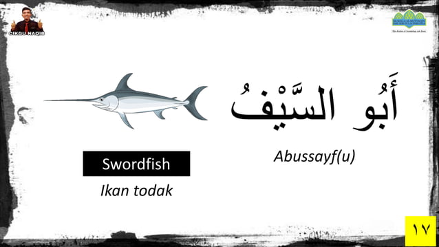 Hidupan Laut (حيوانات البحرية) - Marine Creatures (Bahasa Arab) | PPT