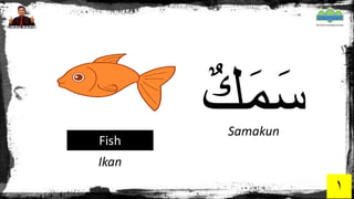 Hidupan Laut (حيوانات البحرية) - Marine Creatures (Bahasa Arab) | PPT