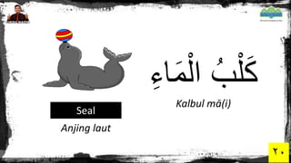 Hidupan Laut (حيوانات البحرية) - Marine Creatures (Bahasa Arab) | PPT