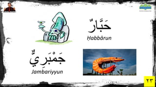 Hidupan Laut (حيوانات البحرية) - Marine Creatures (Bahasa Arab) | PPT