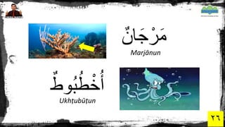 Hidupan Laut (حيوانات البحرية) - Marine Creatures (Bahasa Arab) | PPT