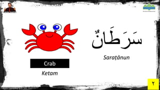 Hidupan Laut (حيوانات البحرية) - Marine Creatures (Bahasa Arab) | PPT