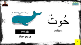 Hidupan Laut (حيوانات البحرية) - Marine Creatures (Bahasa Arab) | PPT