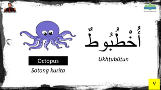 Hidupan Laut (حيوانات البحرية) - Marine Creatures (Bahasa Arab) | PPT
