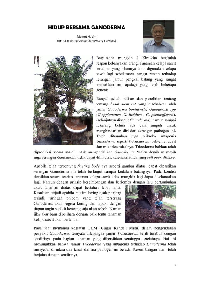 Hidup bersama ganoderma | PDF