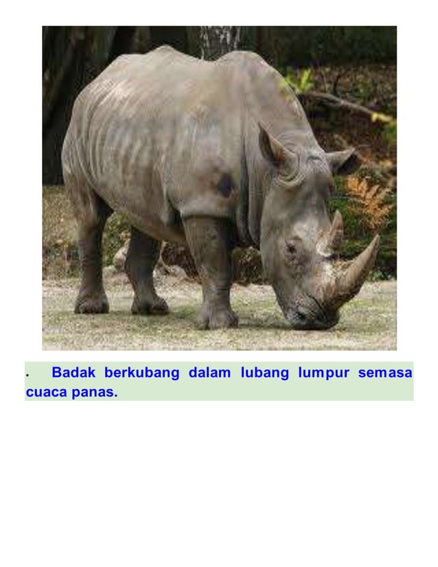 Hidup dalam cuaca melampau | PDF