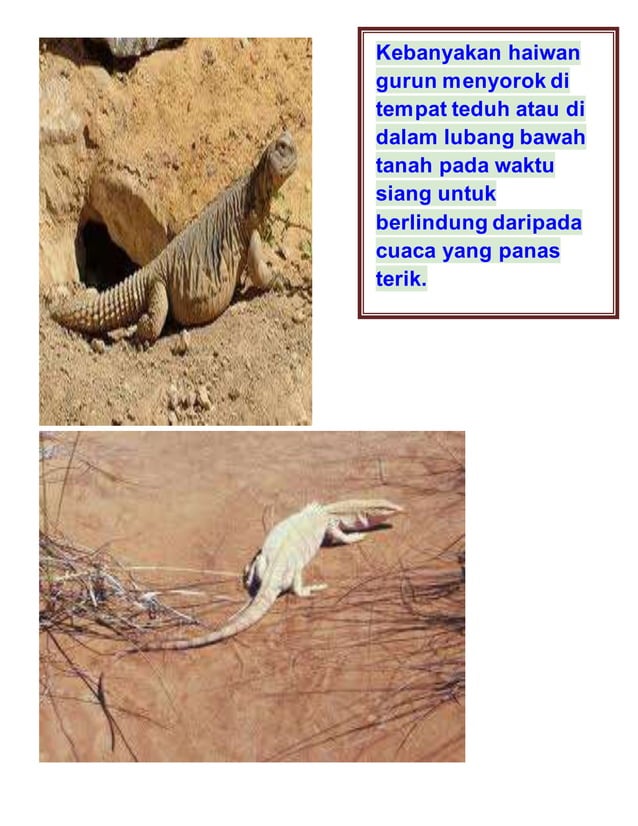 Hidup dalam cuaca melampau | PDF