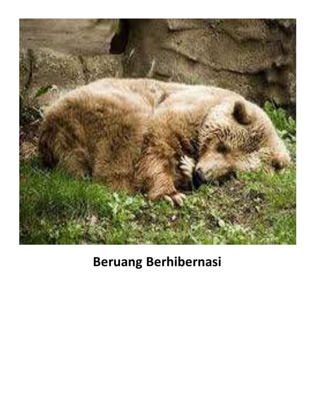 Hidup dalam cuaca melampau | PDF