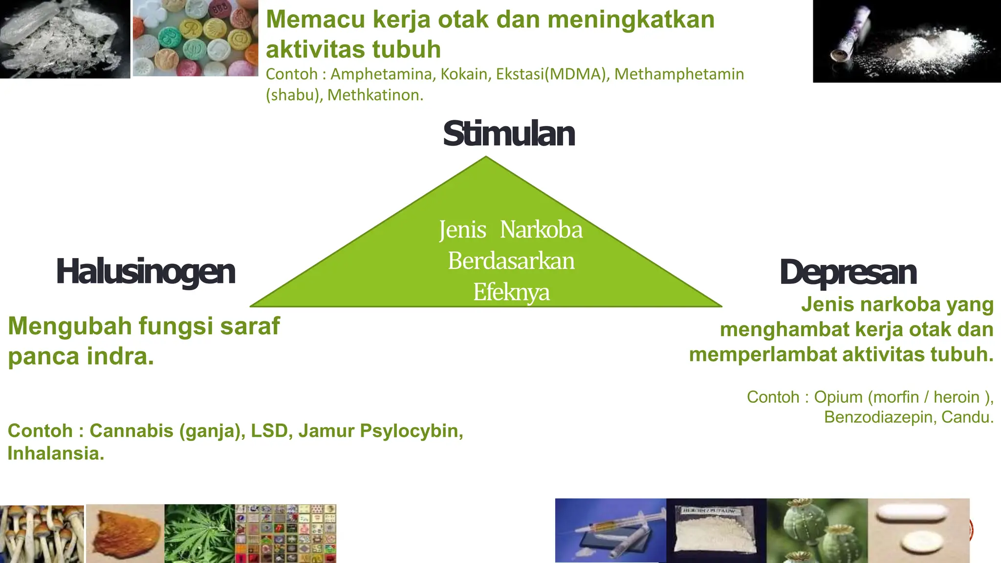 hidup sehat tanpa narkoba presentasi.pptx