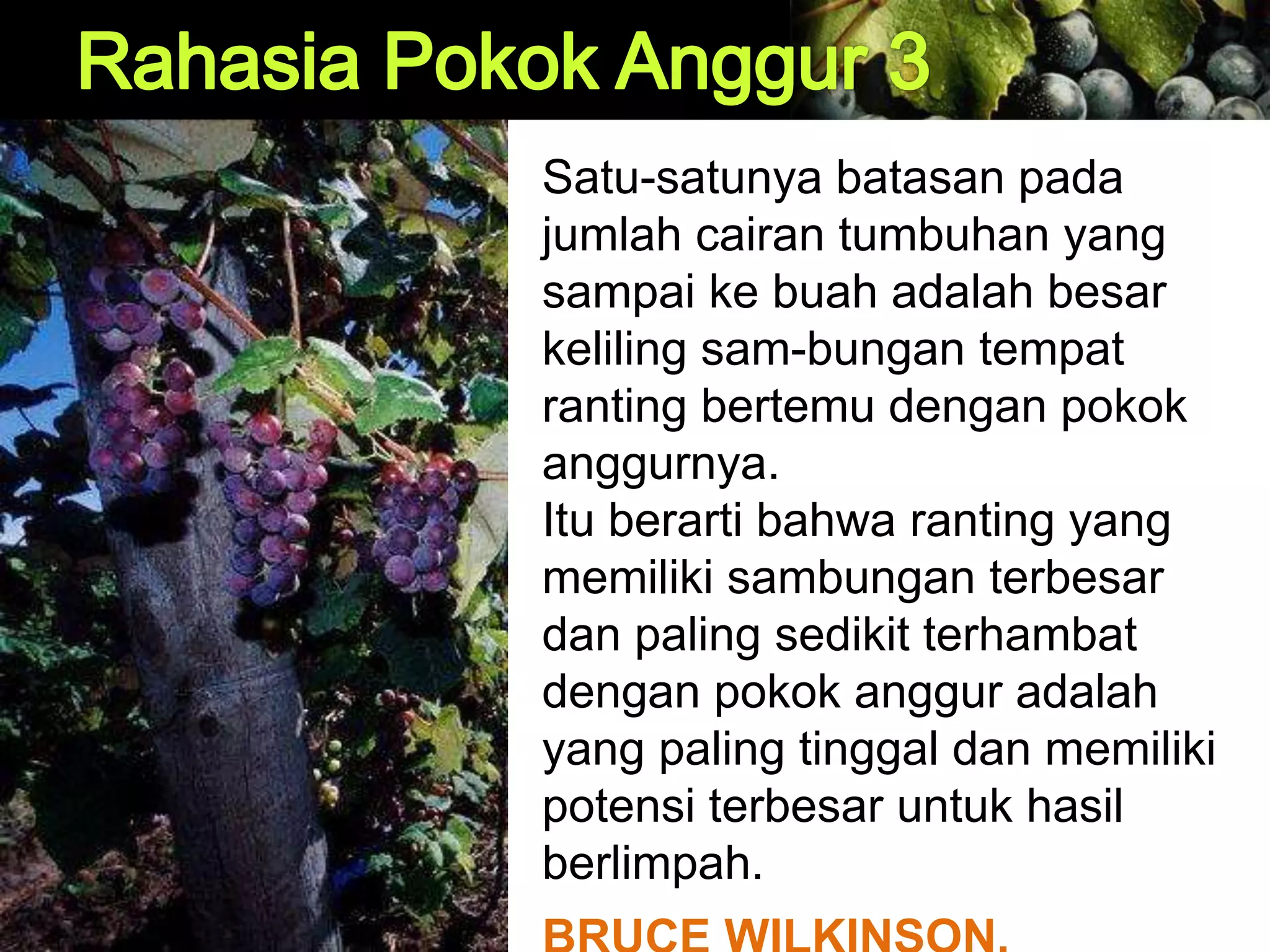 Hidup yang Berbuah | PPTX