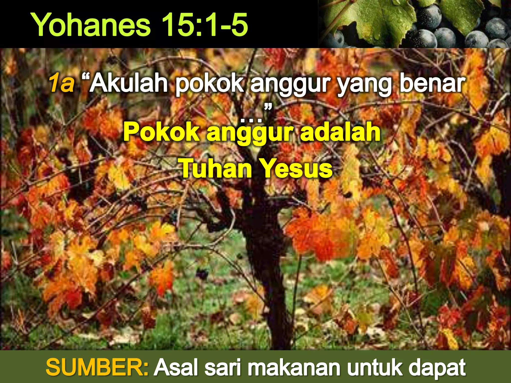 Hidup yang Berbuah | PPTX