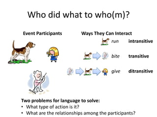 Hieber - An Introduction to Typology, Part III: Grammatical Relations ...