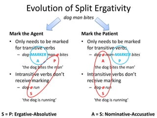 Hieber - An Introduction to Typology, Part III: Grammatical Relations ...