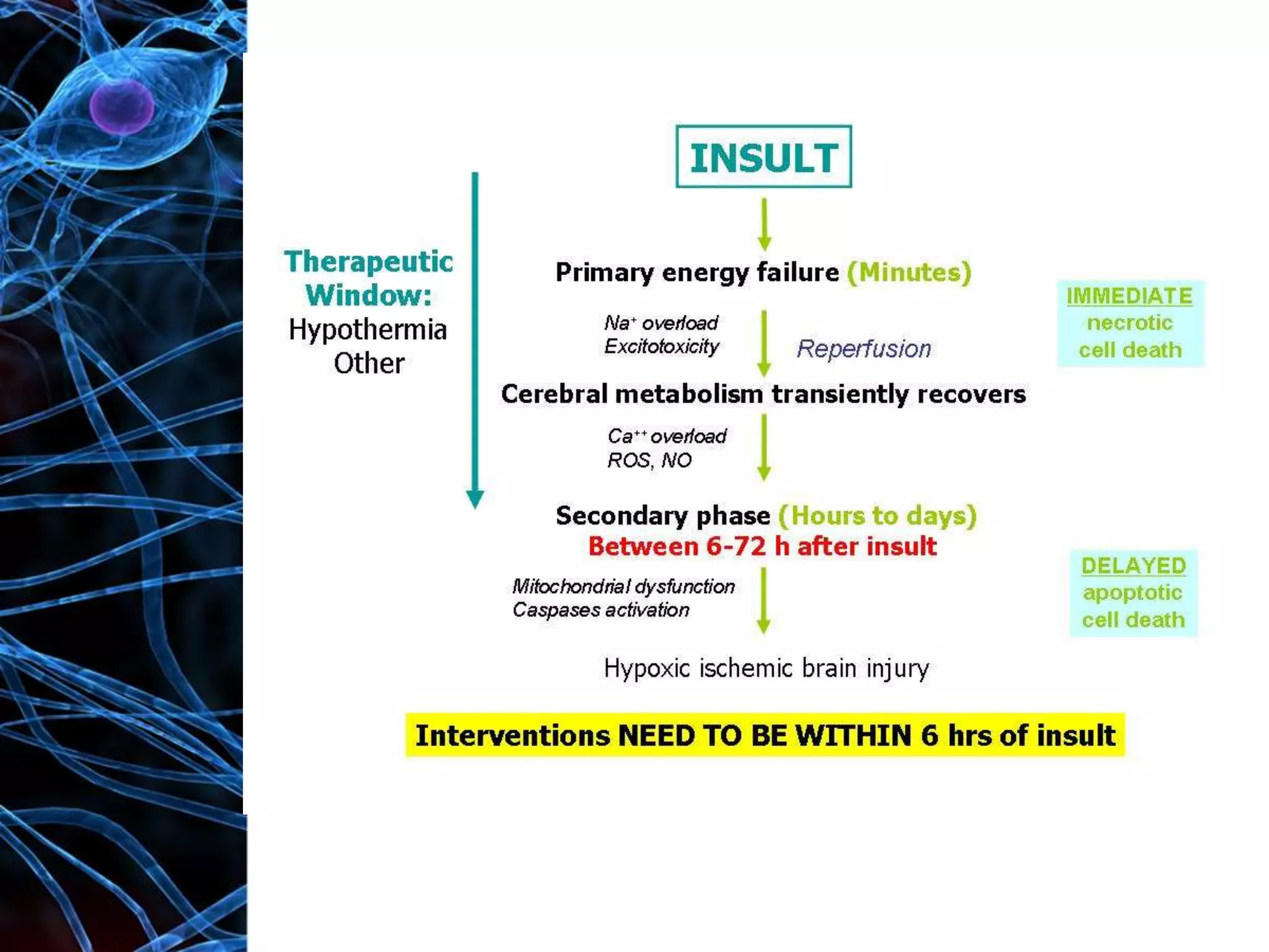 Hypoxic Ischemic Encephalopathy | PPTX