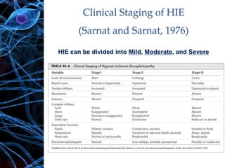 Hypoxic Ischemic Encephalopathy | PPTX