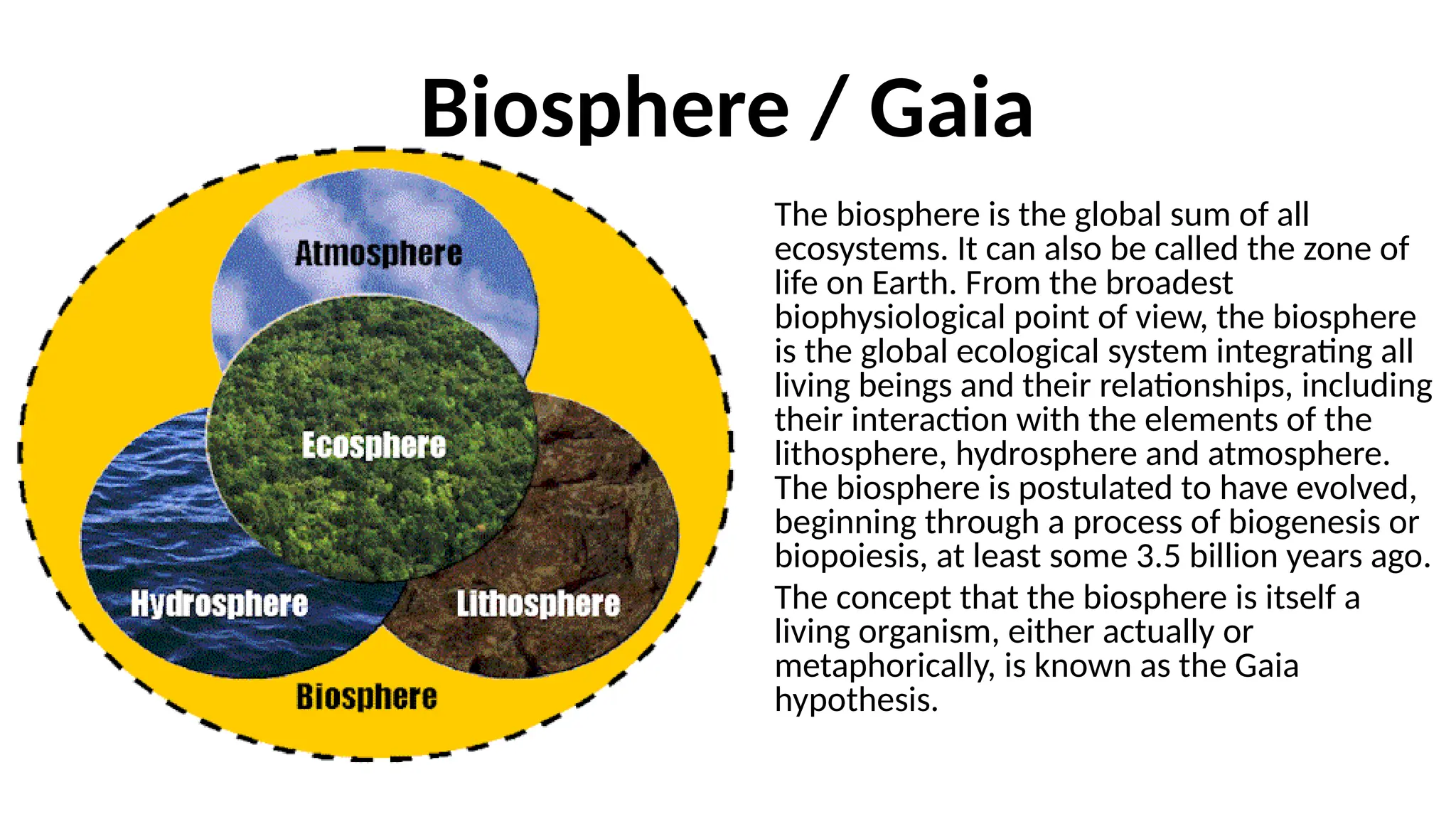 Presentation- Hierarchy of Life - Atom - Biosphere | PPTX