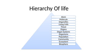 Presentation- Hierarchy of Life - Atom - Biosphere | PPTX