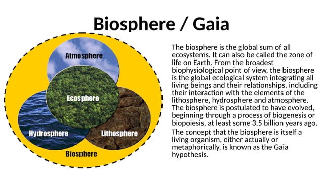 Presentation- Hierarchy of Life - Atom - Biosphere | PPT
