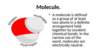 Presentation- Hierarchy of Life - Atom - Biosphere | PPT