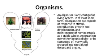 Presentation- Hierarchy of Life - Atom - Biosphere | PPTX