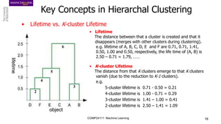Hierarchical (2)l ppt for data and analytics | PPT