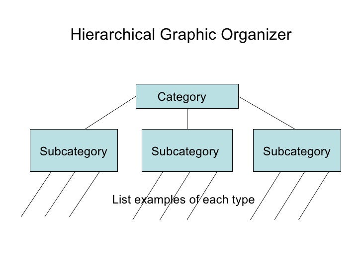 Hierarchical graphic organizer