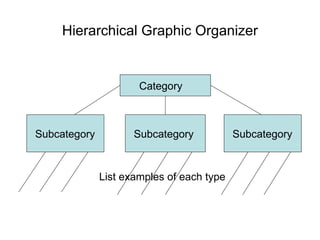 Hierarchical graphic organizer | PPT