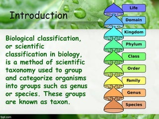 Hierarchy of Classification Groups - Biology | PPT