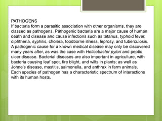 Microbial ecology and Hierarchy | PPTX