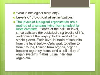 Microbial ecology and Hierarchy | PPTX