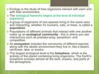 Microbial ecology and Hierarchy | PPTX
