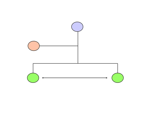 Hierarchy diagrams for business presentations | PPT