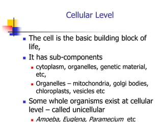 Hierarchy in Biology8.ppthyfdtxtdrfcubcbgfutf | PPT