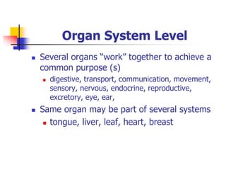 Hierarchy in Biology8.ppthyfdtxtdrfcubcbgfutf | PPT