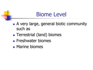 Hierarchy in Biology8.ppthyfdtxtdrfcubcbgfutf | PPT