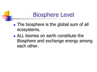 Hierarchy in Biology8.ppthyfdtxtdrfcubcbgfutf | PPT