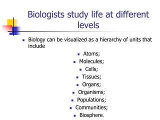 Hierarchy in Biology8.ppthyfdtxtdrfcubcbgfutf | PPT