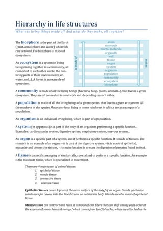 Hierarchy in life structures (text, 2nd version) | PDF | Brain and ...