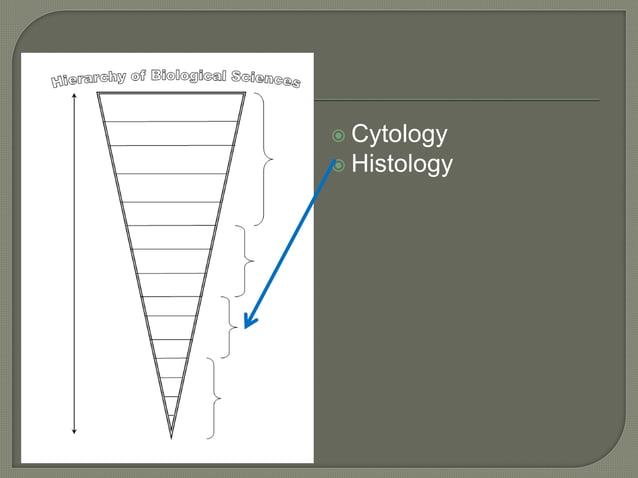Hierarchy of biology | PPTX | Biological Sciences | Science