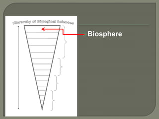 Hierarchy of biology | PPTX