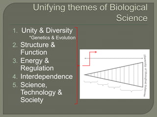 Hierarchy of biology | PPTX | Biological Sciences | Science