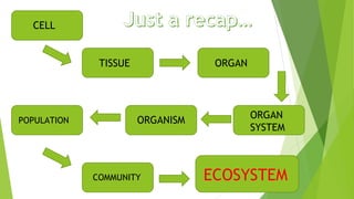 Hierarchy of cellular organization | PPT | Biological Sciences | Science