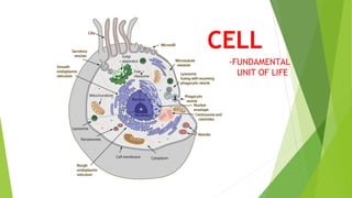 Hierarchy of cellular organization | PPT | Biological Sciences | Science